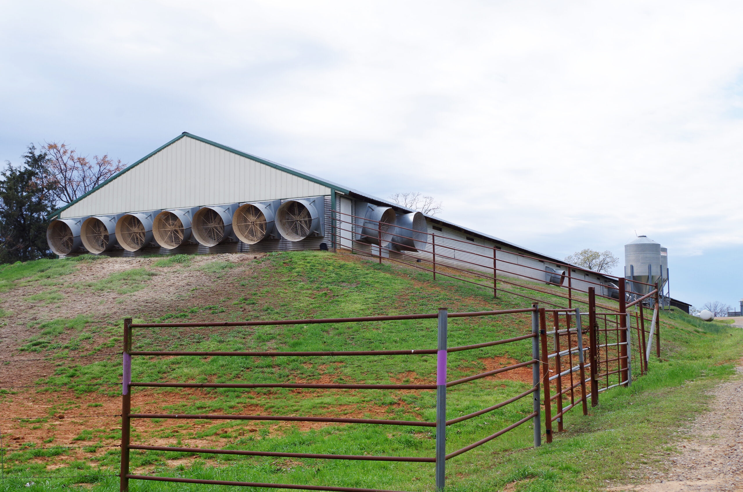 Net Farm Income in 2024 Forecast to Be Down 25% from Last Year - ARFB Digital Magazine