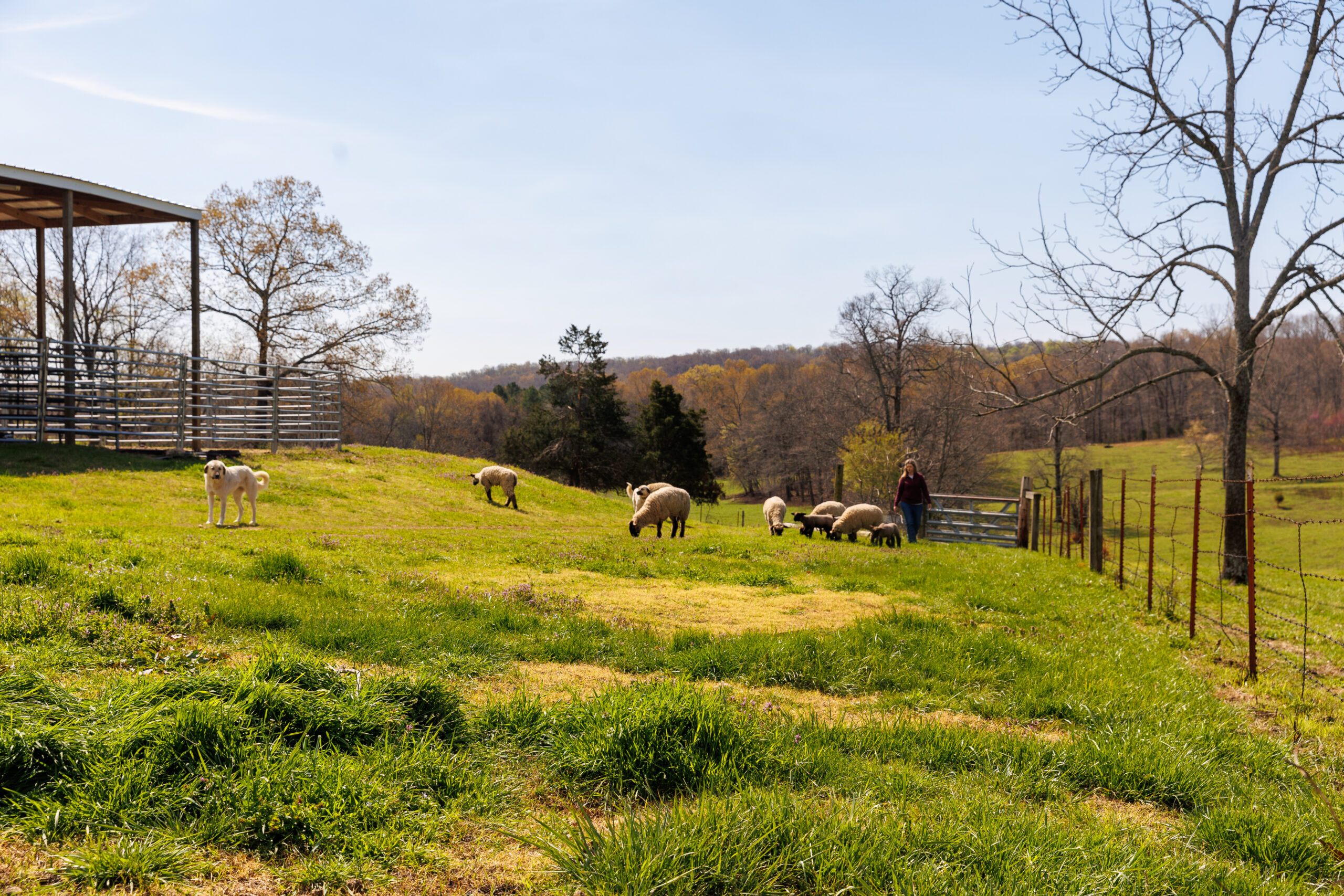 Echoes of ’80s Farm Crisis in Current Economy - ARFB Digital Magazine