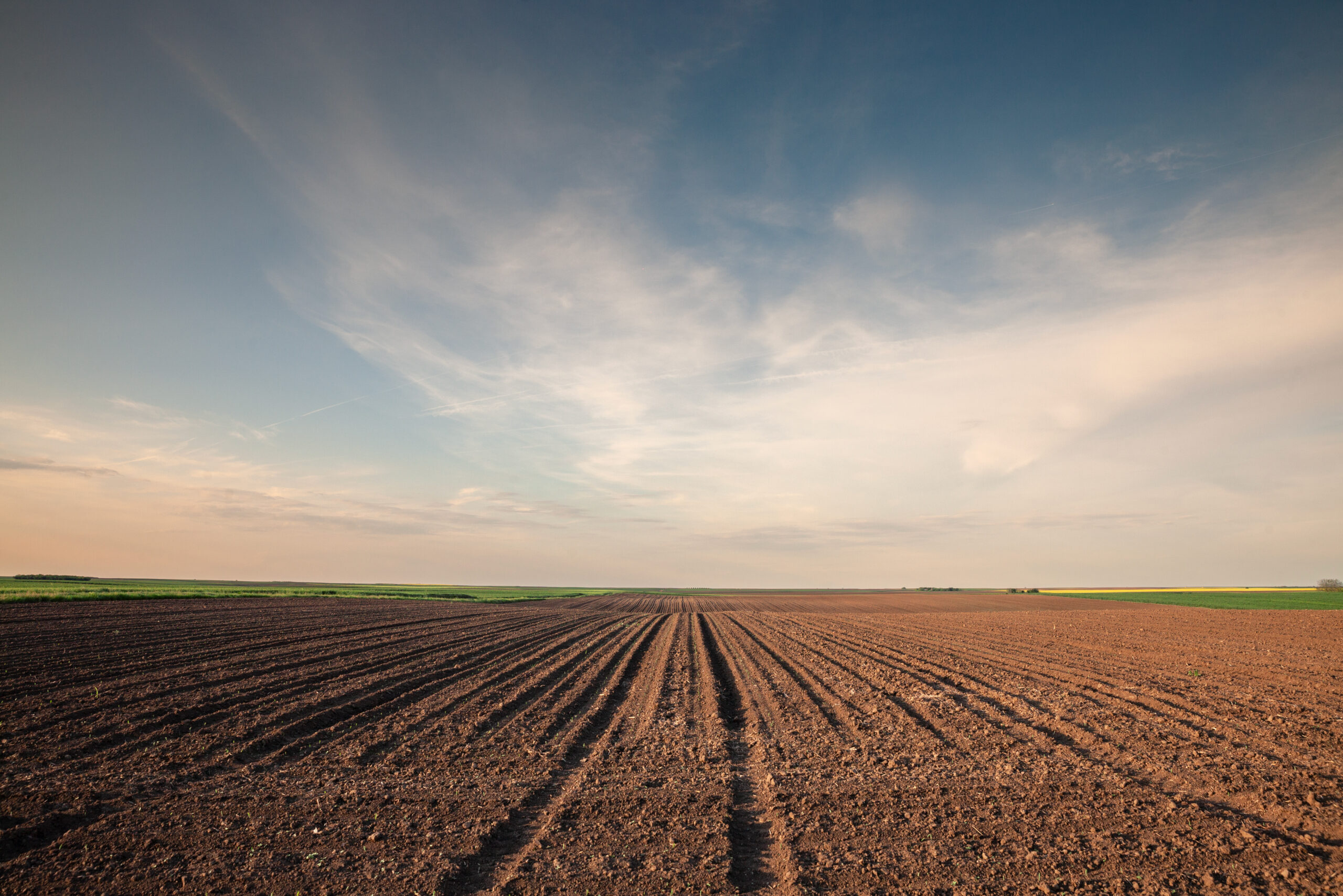 Ag Insider | Farmer Sales Tax Identification Cards - ARFB Digital Magazine